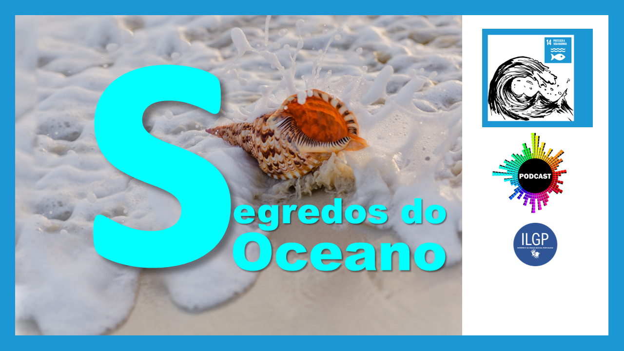 Segredos do Oceano | Episódio 3 | Estudo Autónomo